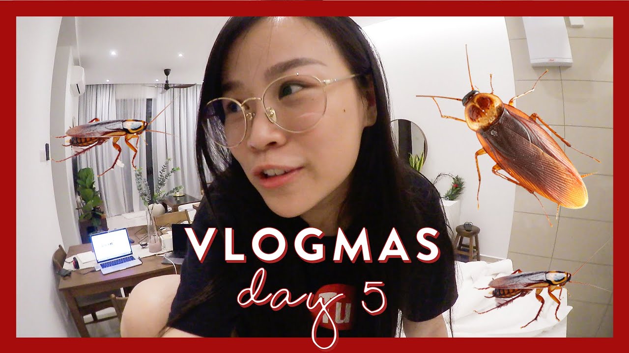 VLOGMAS DAY #5 | daily skincare, the ULTIMATE cockroach battle & homemade iced caramel matcha ...