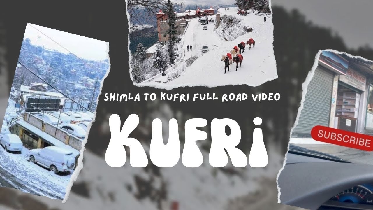 Himachal Tour by Road | Shimla to KUFRI by Road I How to go Kufri from ...