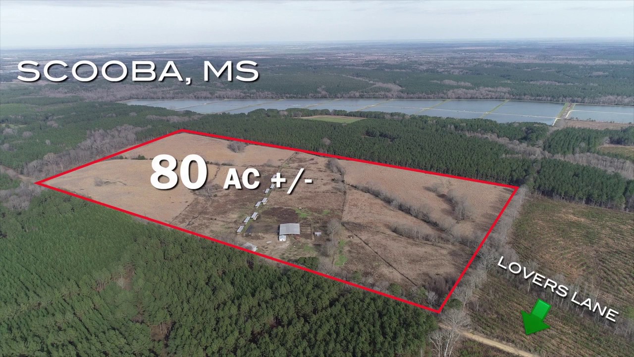 80 acres, Lovers Lane, Kemper County, Scooba, MS selling for U. S ...