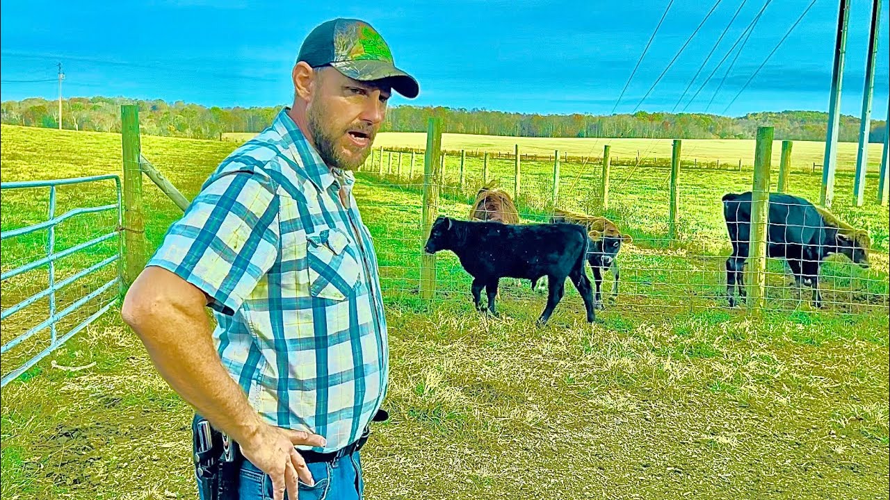 Meet the new WAGYU-ANGUS BEEF! - YouTube