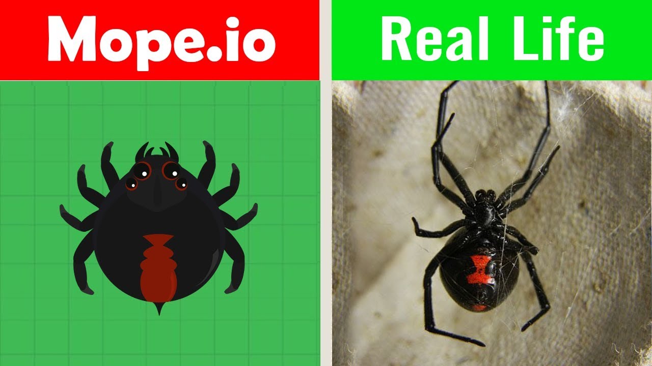 MOPE.IO VS REAL LIFE - YouTube