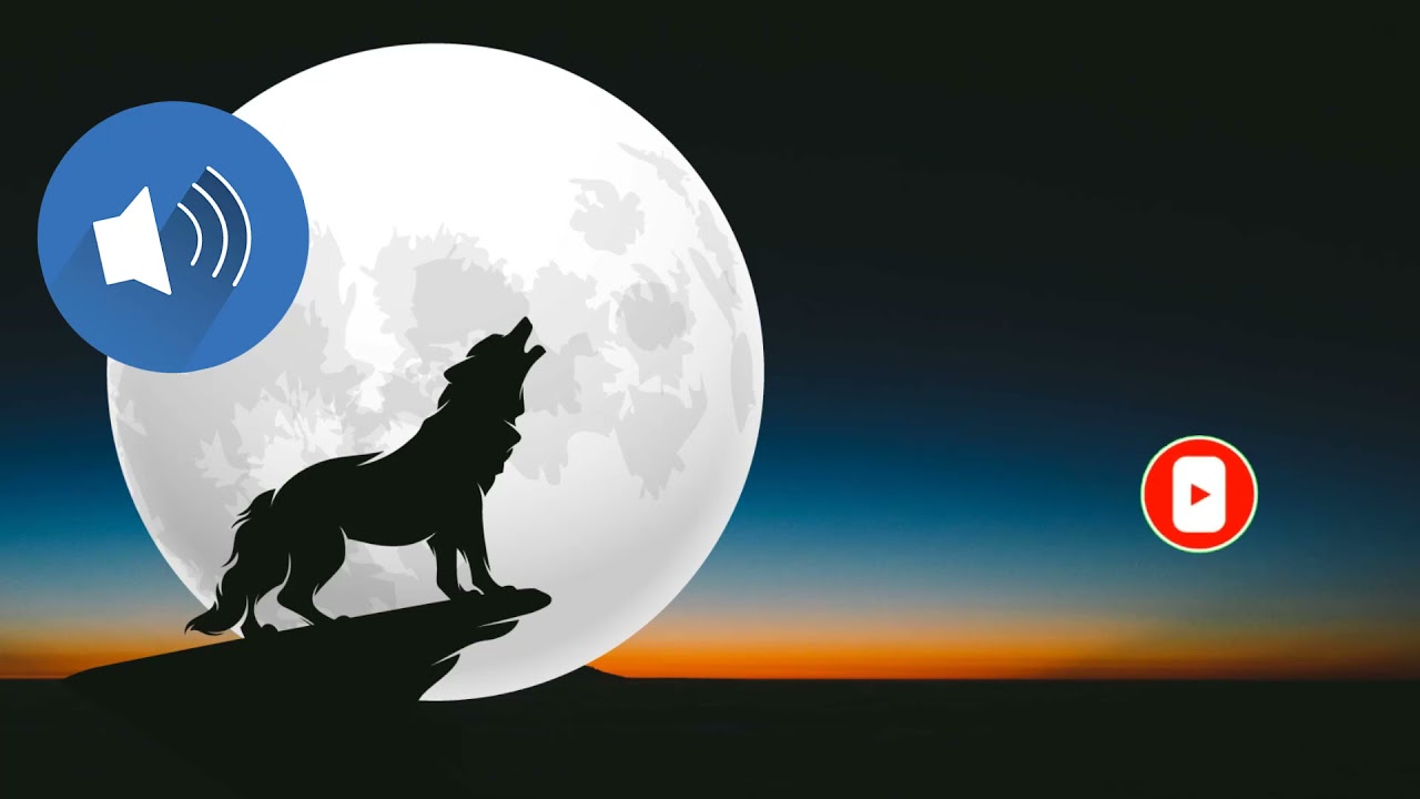 🐺 AULLIDO de LOBO Efecto de Sonido - Lobo Aullando Sonido - YouTube