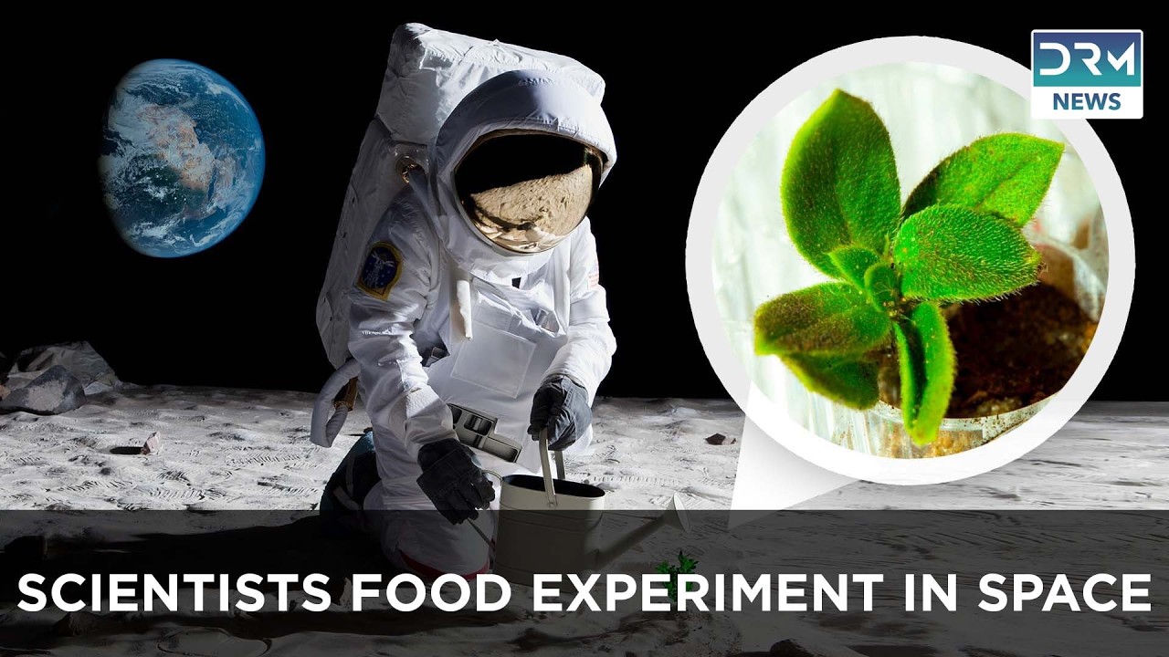 Grow Your Own Food in Space? Scientists Test Bioreactors | DRM News ...