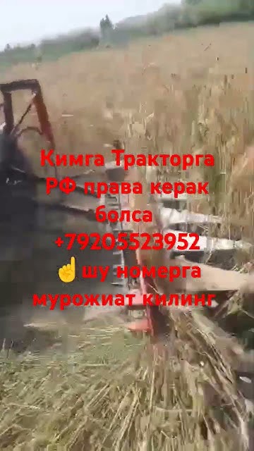 бе этибор болманг ☝️🤝 - YouTube