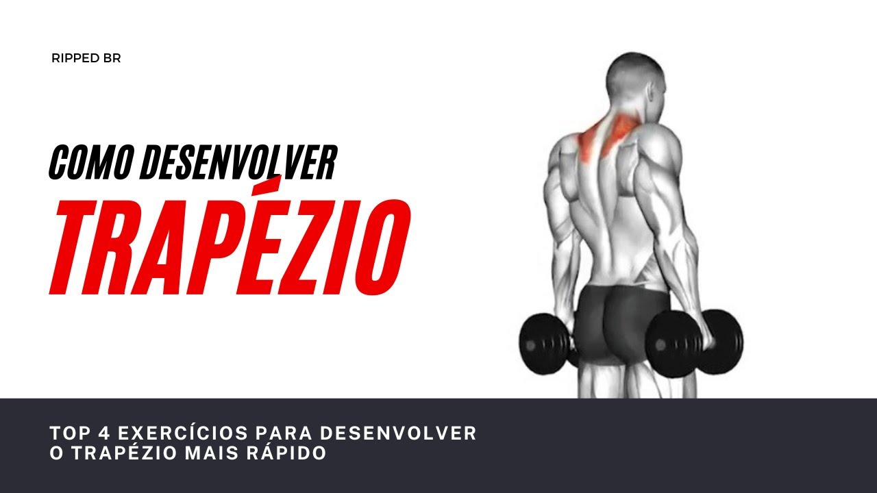 COMO TREINAR TRAPÉZIO - OS 4 MELHORES EXERCÍCIO PARA CRESCER O TRAPÉZIO ...