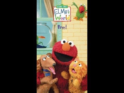 Elmo's World: Pets! (EXTREMELY Rare 2006 VHS) - YouTube