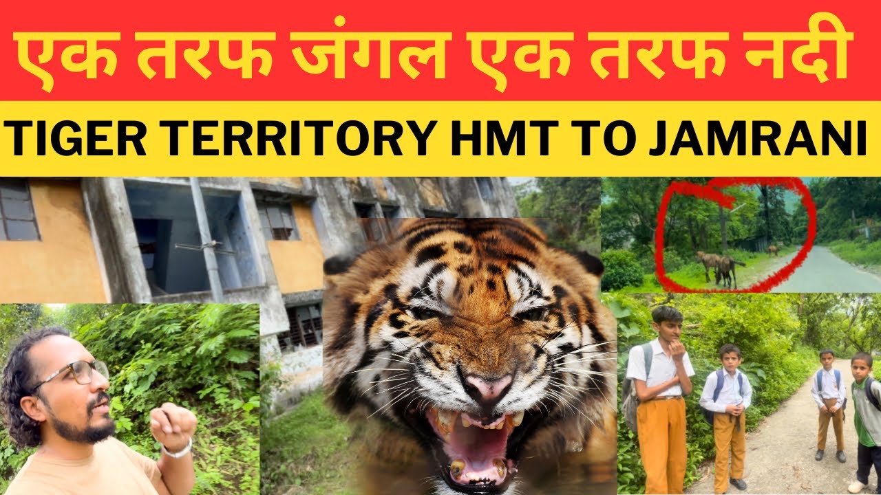 एक तरफ जंगल एक तरफ नदी‼️Tiger Territory Hmt To Jamrani |Haldwani - YouTube
