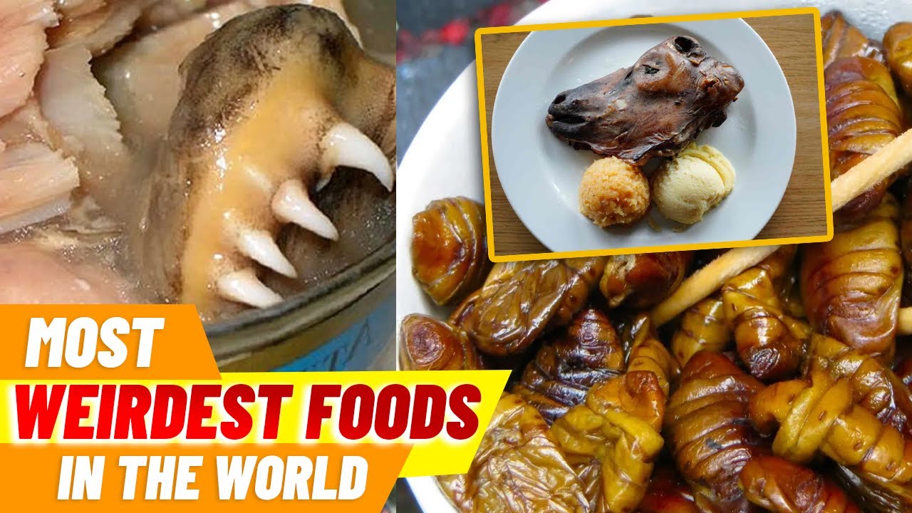 10 MOST WEIRDEST FOODS IN THE WORLD - YouTube
