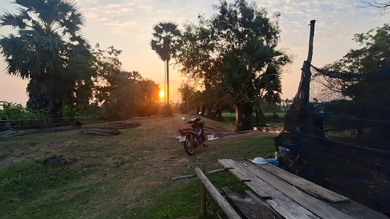 เช้านี้แดดแรงมาก‼️อัพเดทแปลงเกษตรยายนางใกล้สิได้ลงเมล็ดพันธุ์แล้ว🌱🌽🥒#3 ...