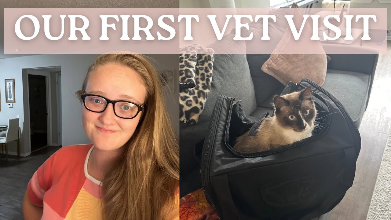 I Had To Take Him To The Vet!!! || Evening Vlog - YouTube
