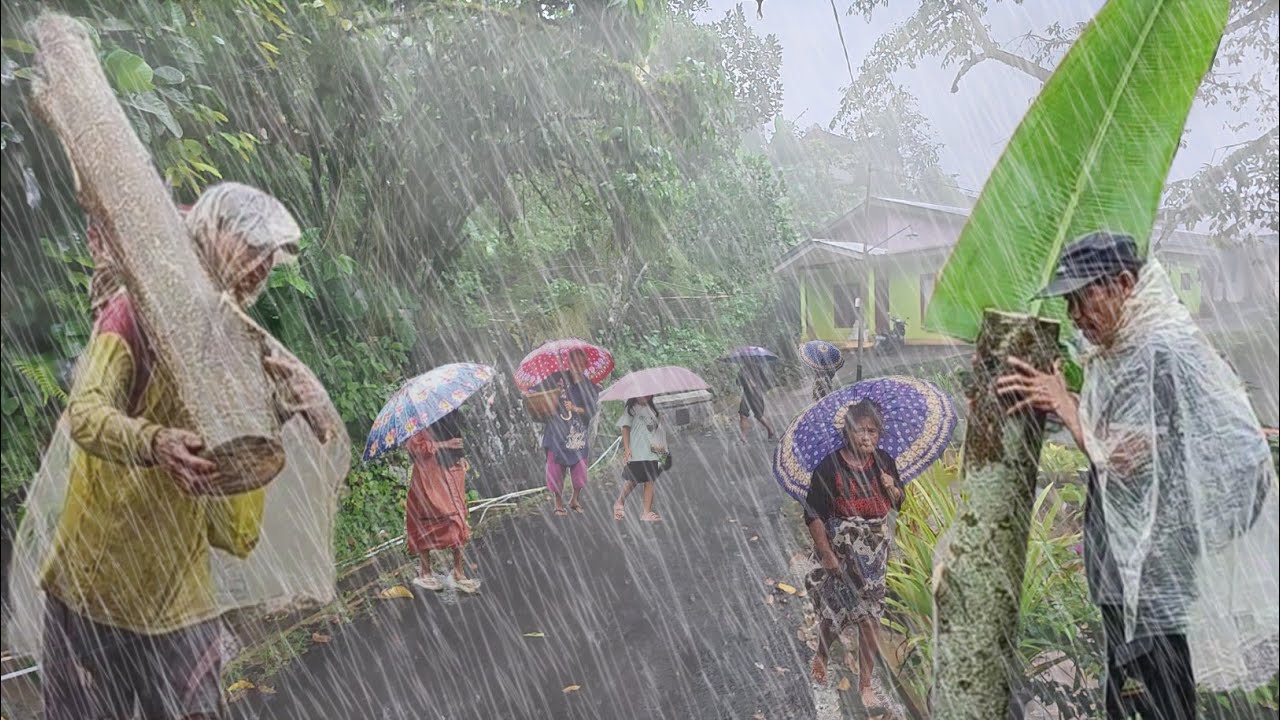 Walking in Extereme Heavy Rain and Extreme Strong Wind Storm, Rain ...