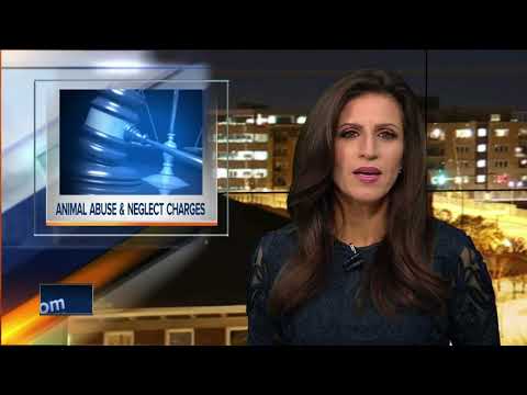 Update Woman charged for animal abuse