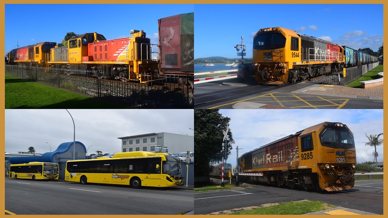 The Tauranga Rail and Bus Scenes ~ October 2024 (HD) - YouTube