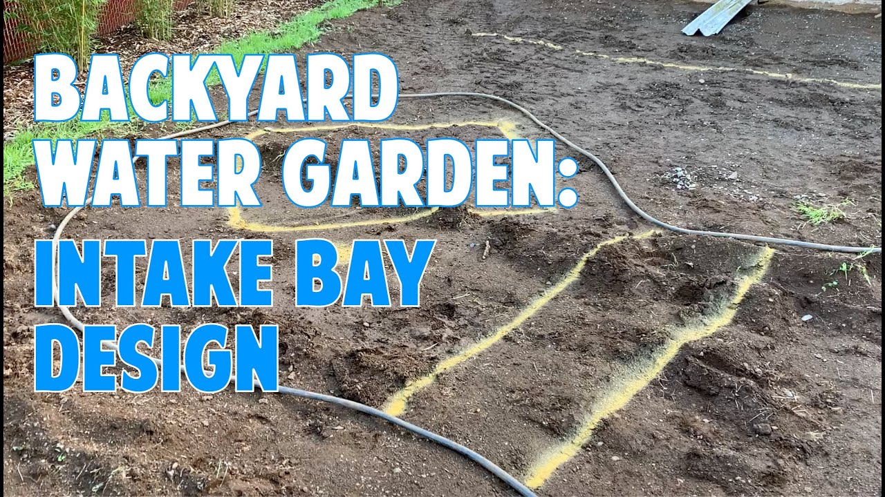 Backyard Water Garden: Intake Bay Design - YouTube