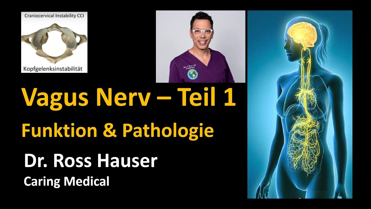 Vagus Nerv - Funktion & Pathologie - Teil 1 - Dr. Ross Hauser - YouTube