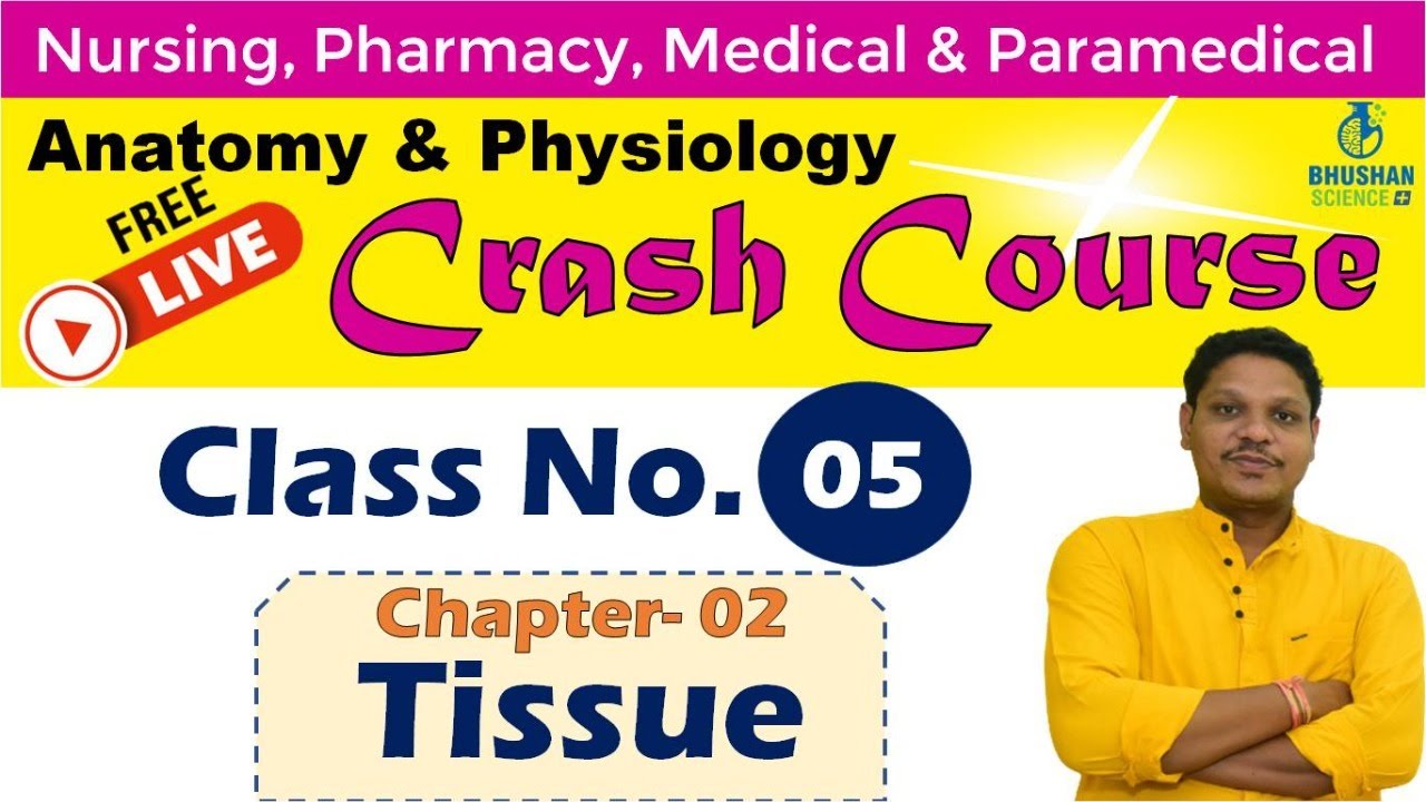Class 5 FREE Anatomy Physiology CRASH COURSE Anatomy Physiology class-5-free-anatomy-physiology-crash-course-anatomy-physiology
