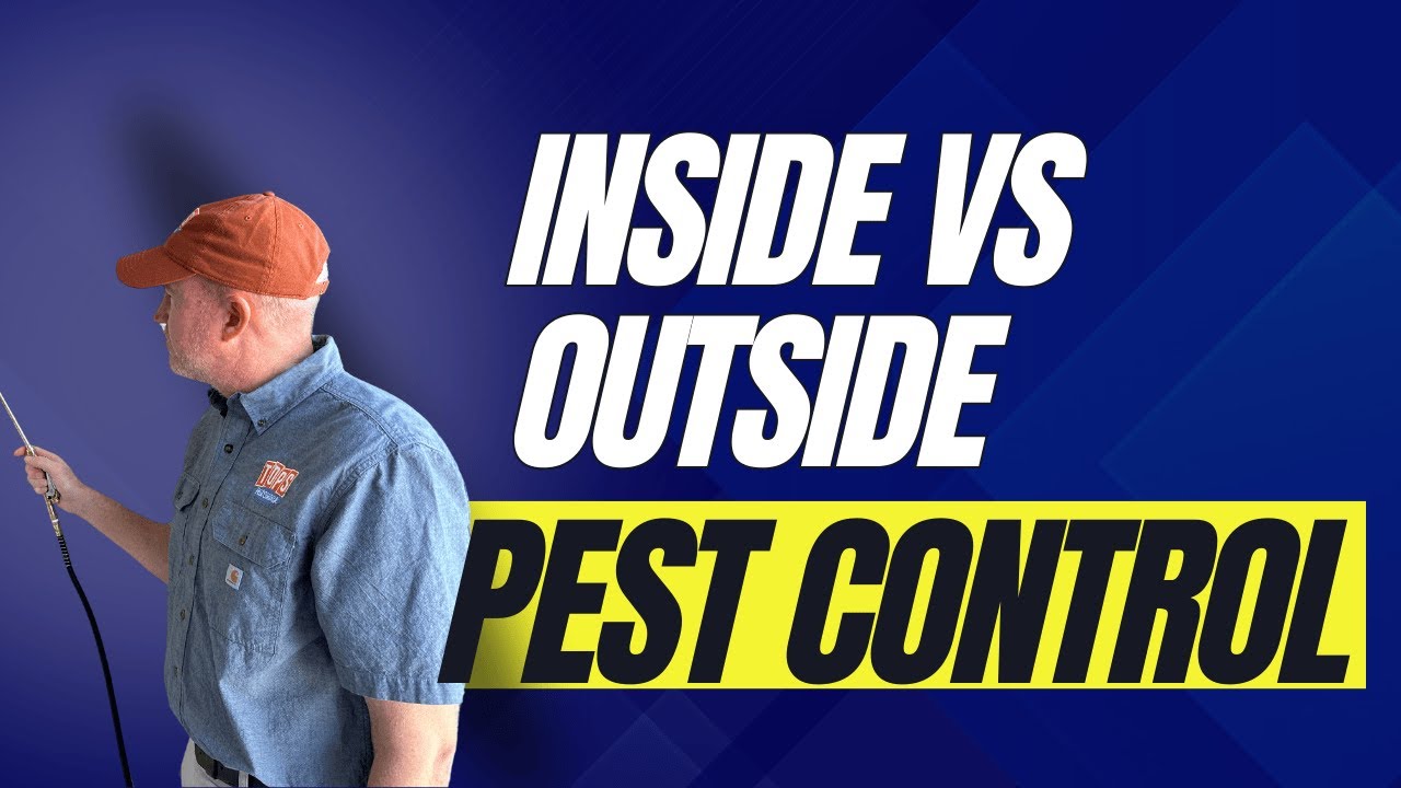 Treating Pests Outside vs Inside Your Home - YouTube