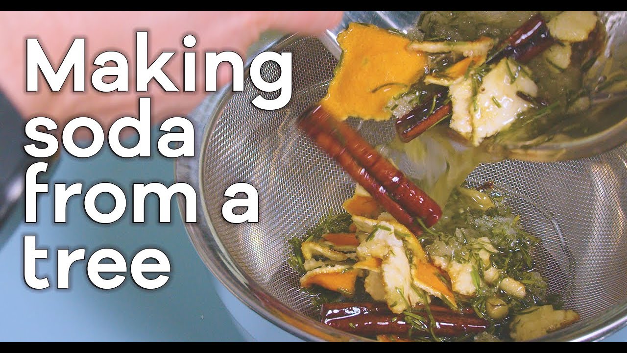 Making soda out of a pine tree - YouTube