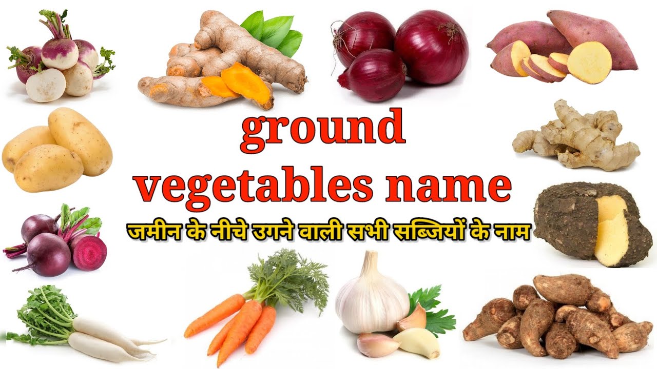 Ground Vegetables Name | जमीन के नीचे उगने वाली सभी सब्जियों के नाम ...
