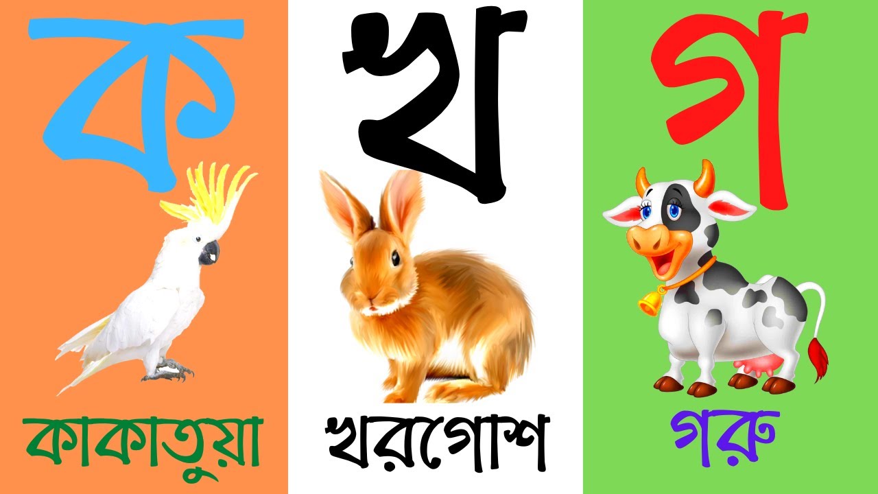 ব্যঞ্জনবর্ণ ক'য় কাকাতুয়া বানানসহ | ক খ গ ঘ ব্যঞ্জনবর্ণ | Bangla ...