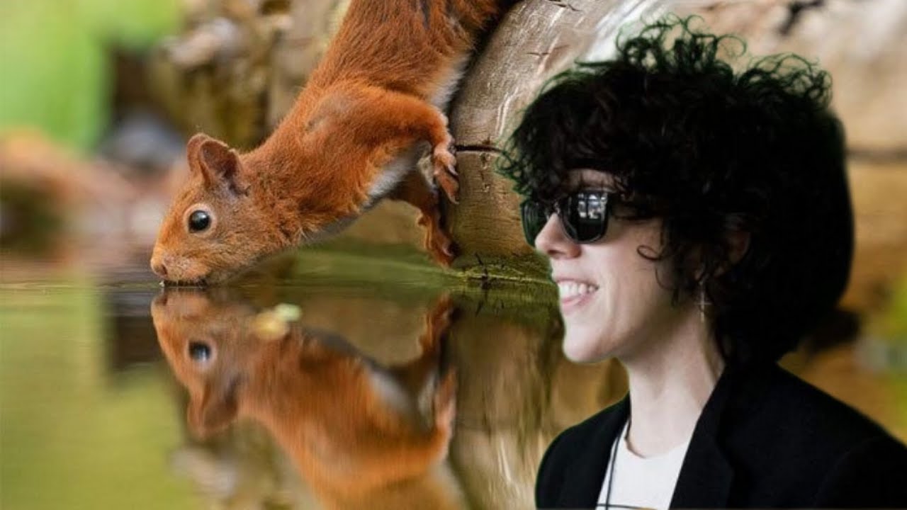 20 minutes best hits by LP Laura PERGOLIZZI @iamlpofficial - YouTube