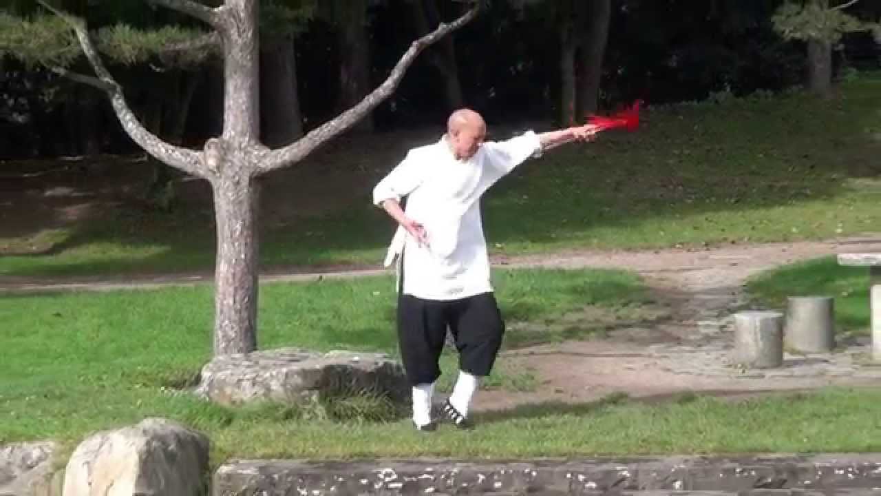 Wudang Sword 武當劍 - Wudang & Shaolin Kung Fu und Tai chi in Düsseldorf ...