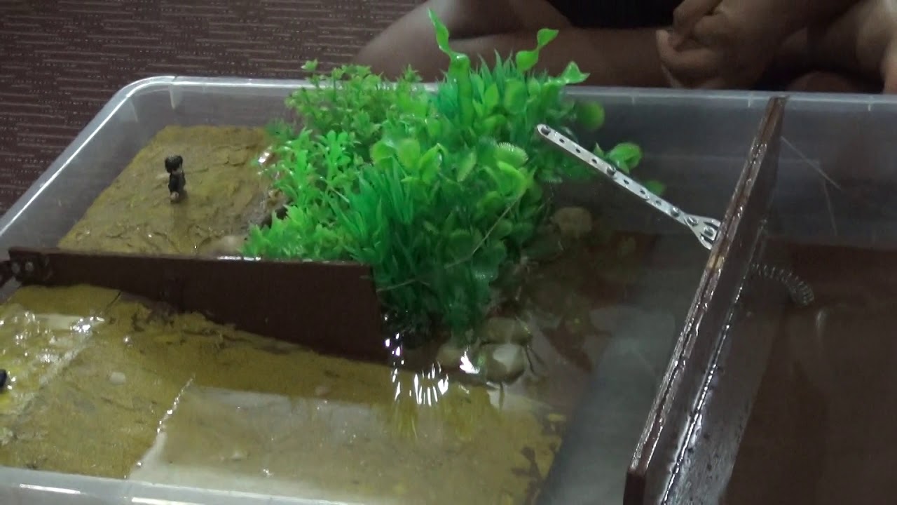 Tsunami model - How tsunami forms and how its effects can be mitigated ...