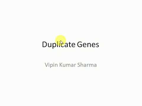 Duplicate Genes: gene interaction - YouTube