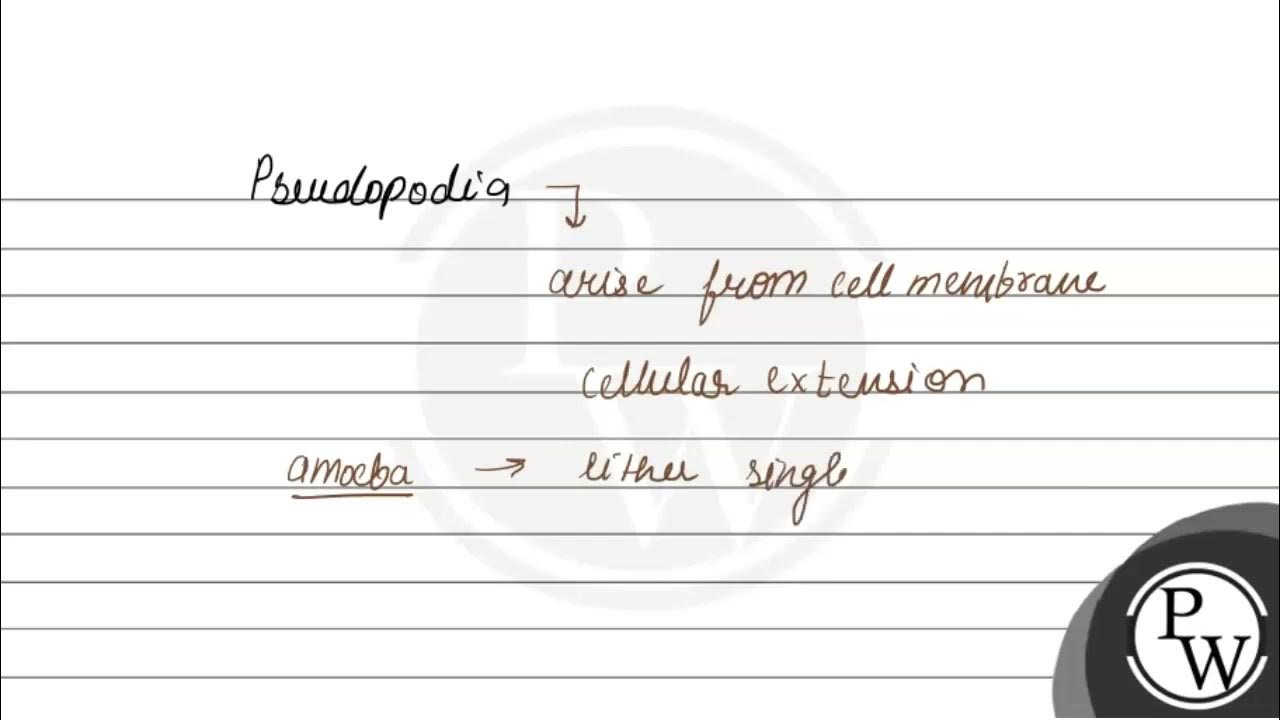 Match the columns and find out the correct combination: (A) \( \begin{array}{llll}\text { A-1 ...