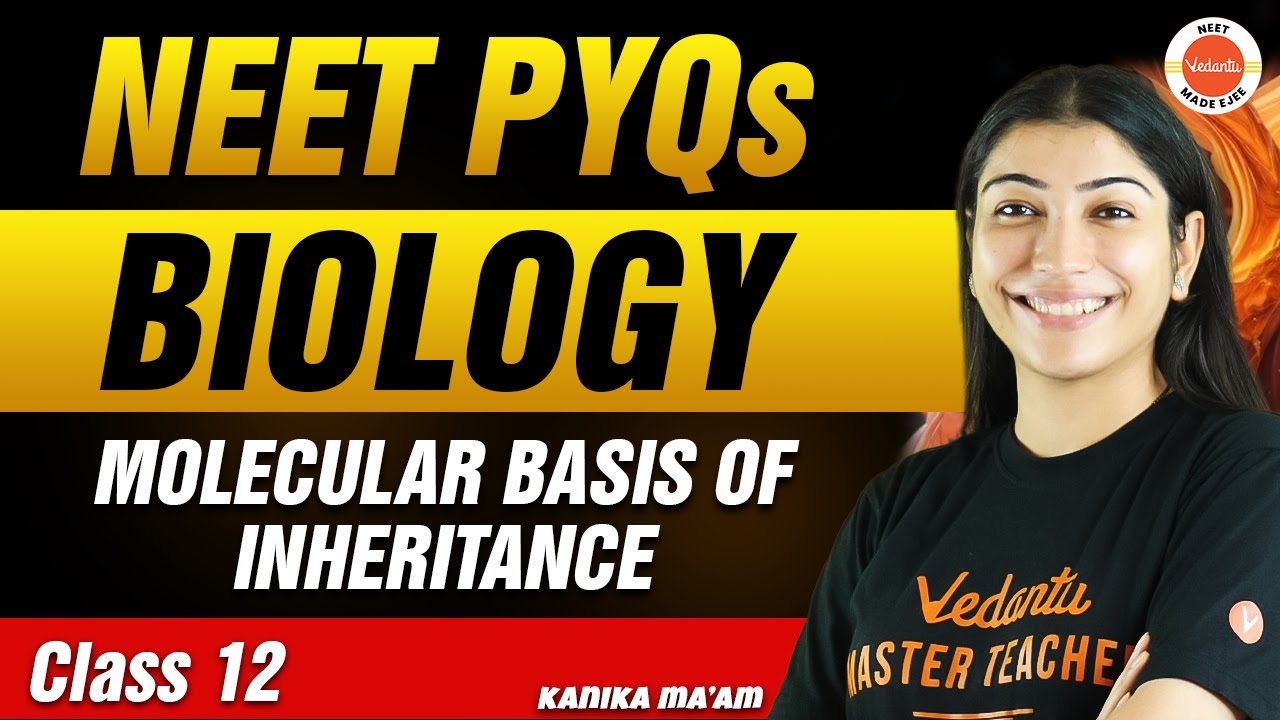 NEET PYQs for Molecular Basis of Inheritance | Class 12 Biology | NEET ...