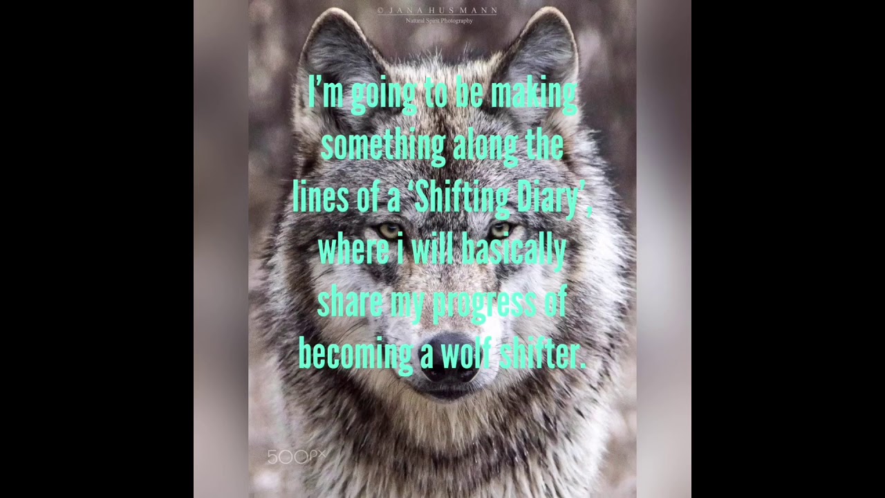 Wolf Spell! |Test|Shifter Diary| - YouTube