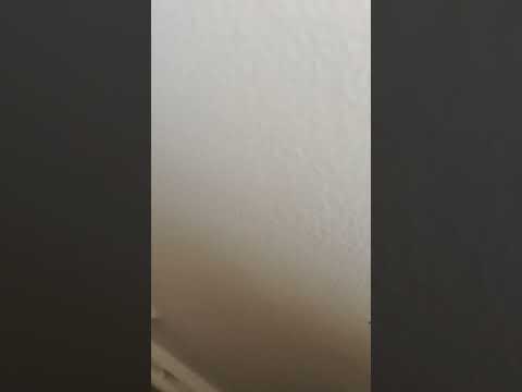 Sizz Wabbit got a wrench keep Candy licking my dick and pussy FUCK YOU