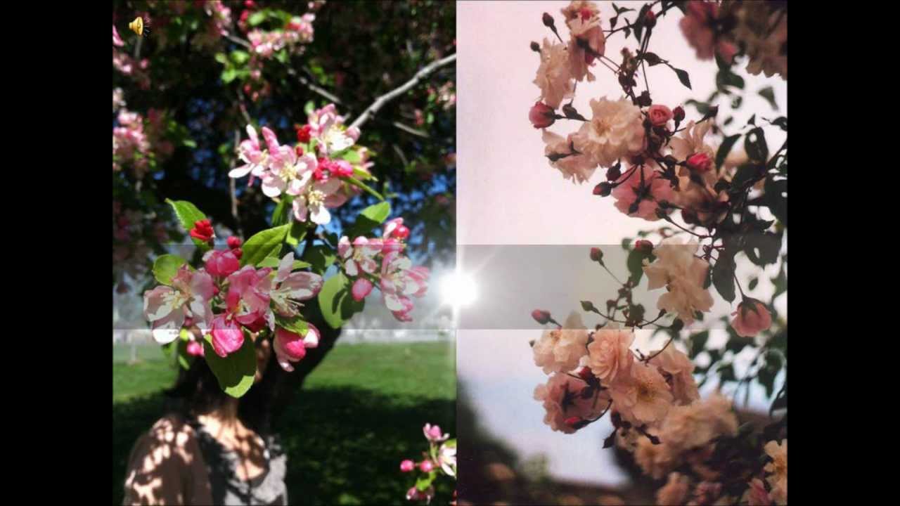 25 Cosas Sobre Mi- Erica Fu - YouTube