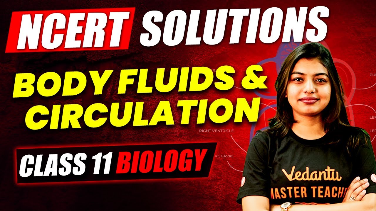 Body Fluids and Circulation | Class 11 Biology | NCERT Solutions - YouTube