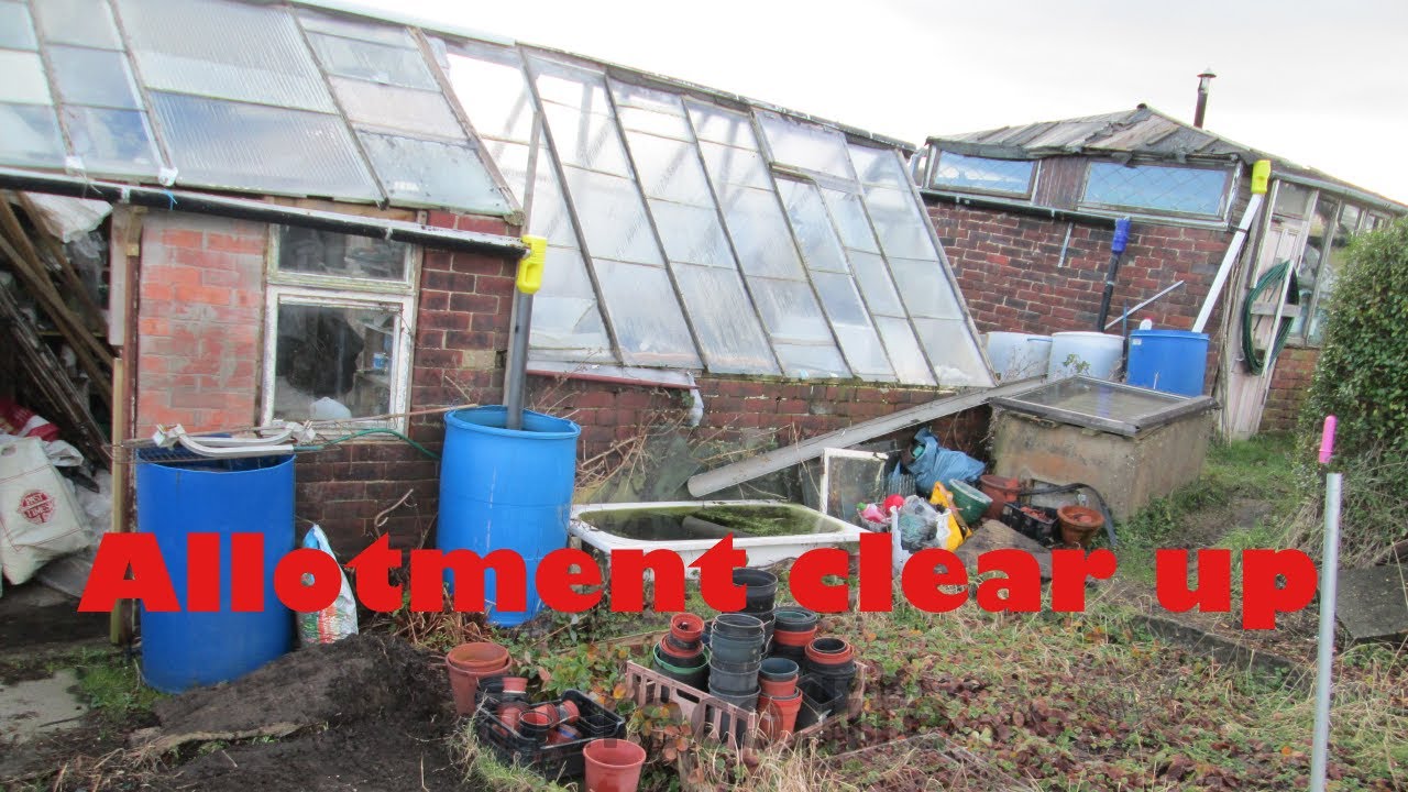 Allotment clear up January 2021 Part 1 of 3 - YouTube