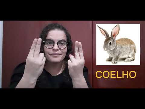 Camilão, o comilão - Nome e sinal dos animais (personagens) - YouTube
