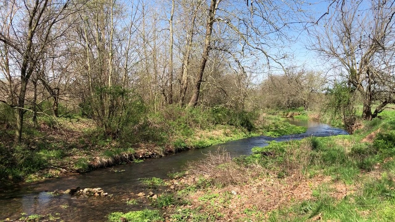 Purdy Missouri Land Auction - YouTube