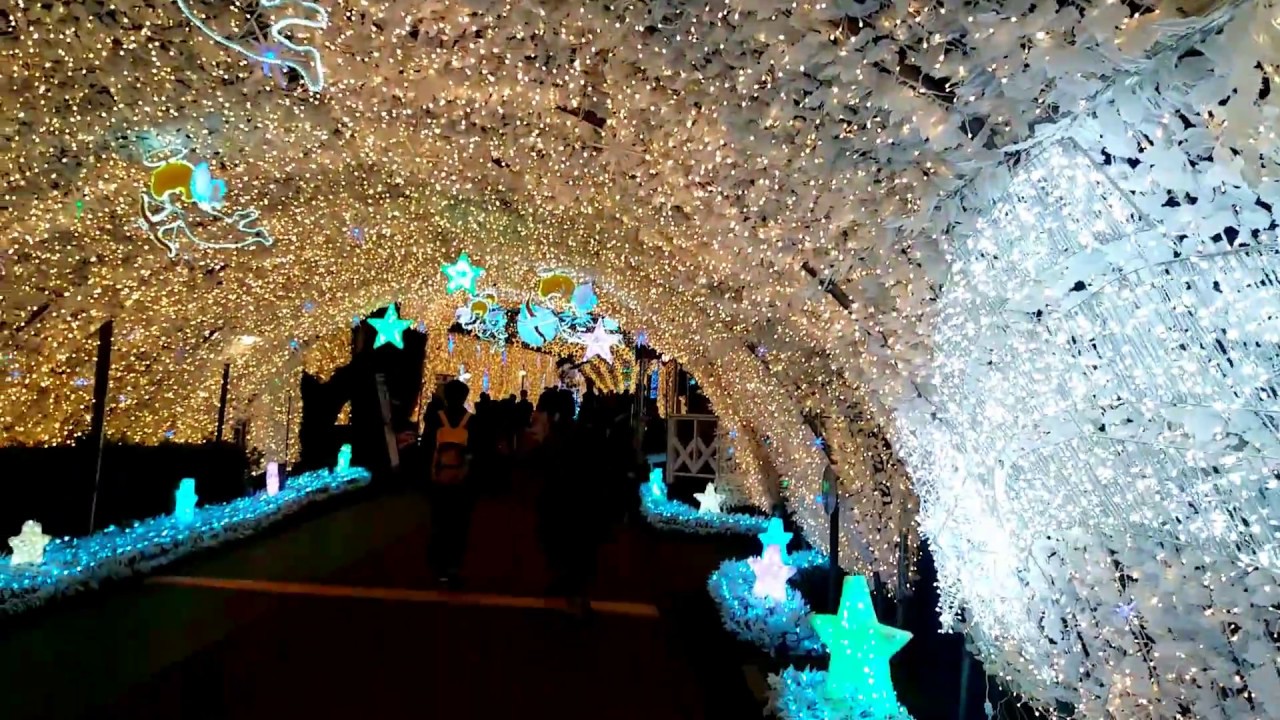 Japan vlog-1: Gotemba winter illumination of japan 2016 (জাপানের ...