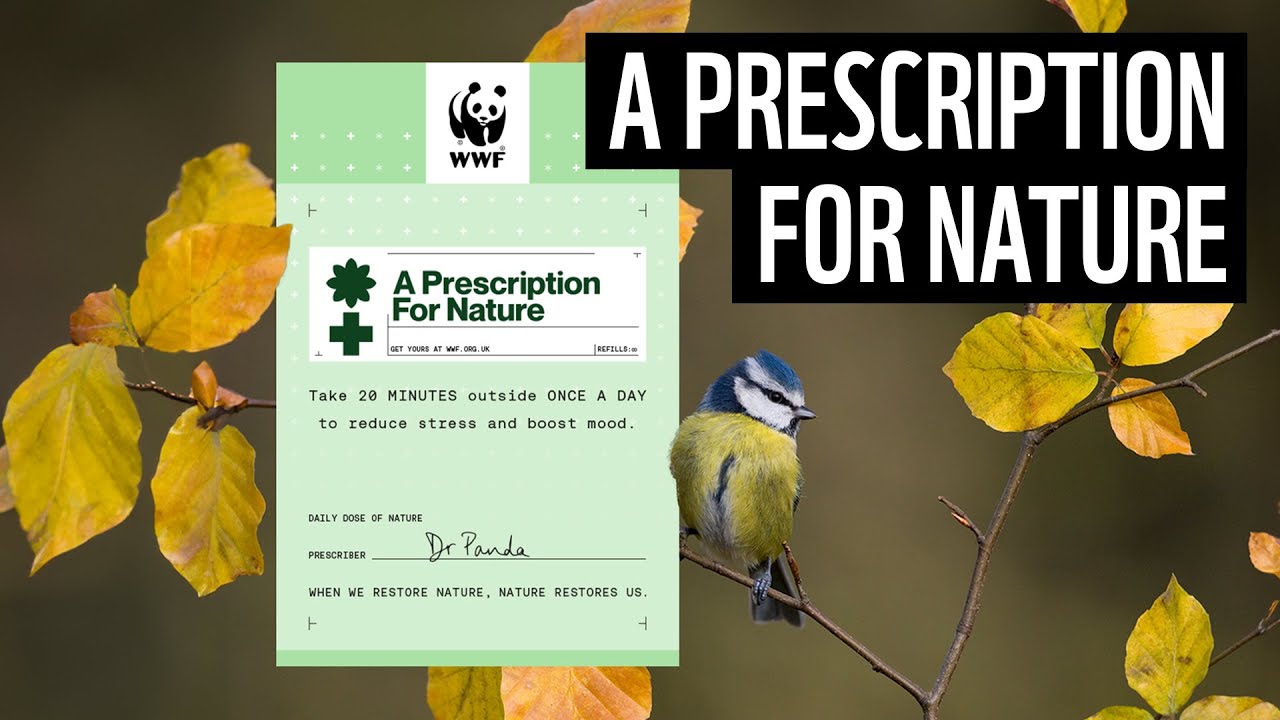 A Prescription For Nature | WWF - YouTube