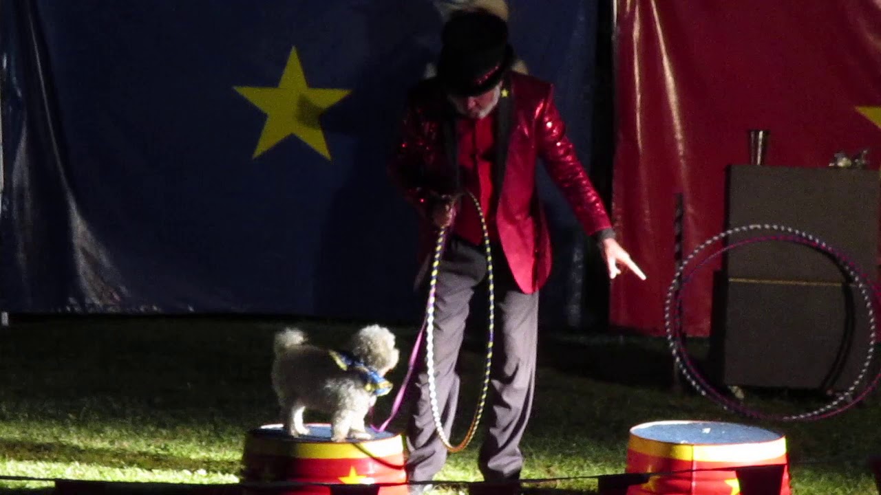 Kent Family Circus part 1 Southern New Mexico State Fair 2019 - YouTube