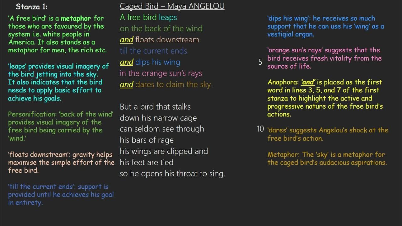Caged Bird — Maya ANGELOU: Detailed Analysis and Video Annotation - YouTube