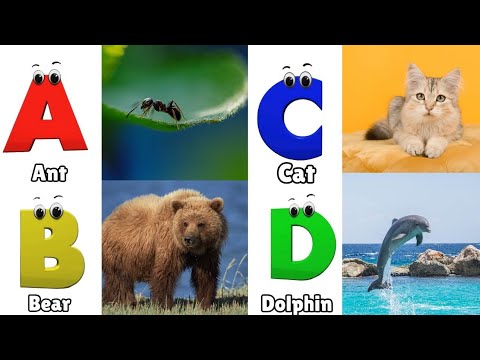 ABC Song for Kids | Learn Alphabet for Toddlers | Phonics for Kids | Alphabet Letters - YouTube