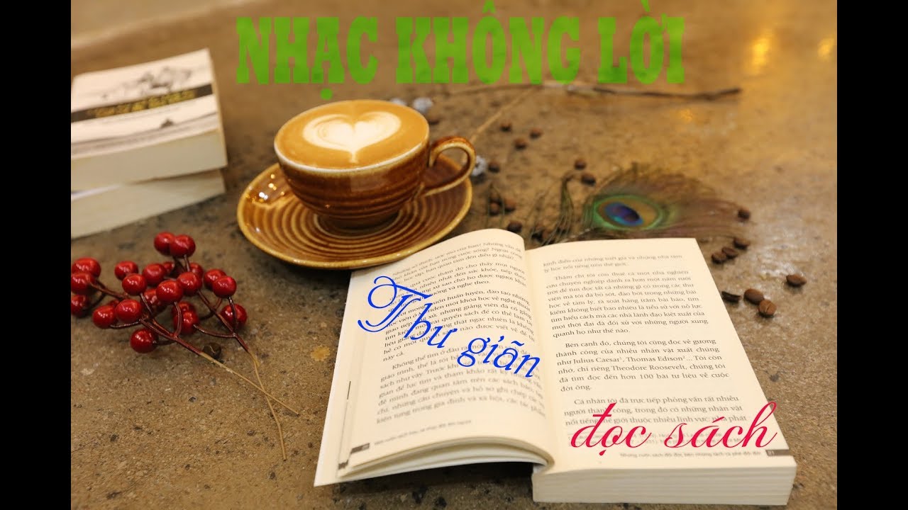 INSTRUMENTAL MUSIC - [NHAC THU GIAN DOC SACH] - YouTube