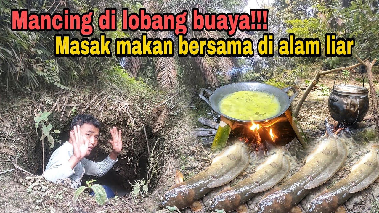 TERJEBAK DI LOBANG TUA.!! TERNYATA SARANGNYA LELE LIMBAT - YouTube