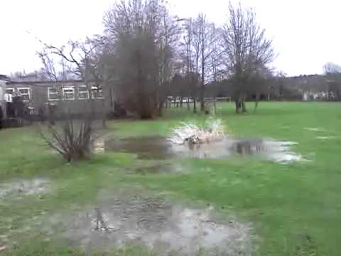 Puddle dive - YouTube
