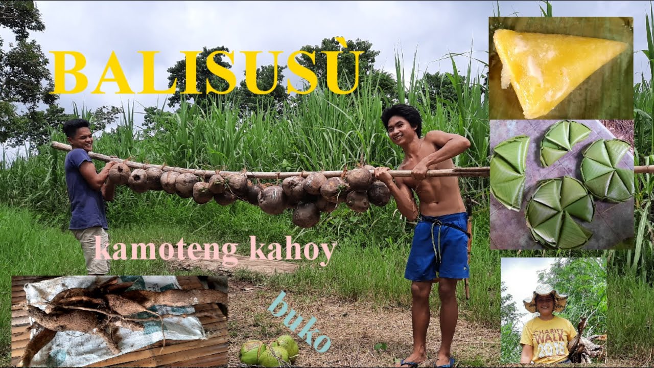 "BALISUSÙ"! | Bushcraft and Foraging || Lady Cimarron - YouTube