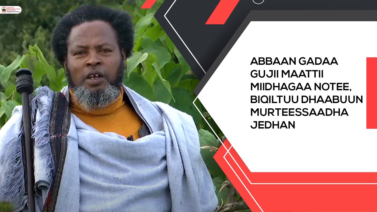 Abbaan Gadaa Gujii Maattii Miidhagaa Notee, Biqiltuu dhaabuun ...