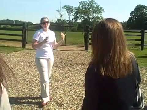 darley stud private horse farm 5.mp4 - YouTube