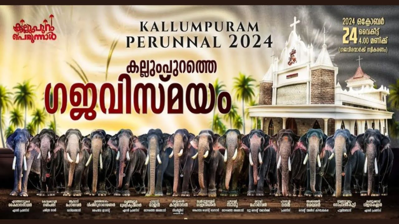 ഗജ സ്വീകരണം🔥🥵 കല്ലുംപുറം പള്ളി പെരുന്നാൾ 2024 ||kallumpuram palli ...