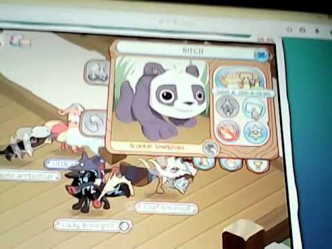 Animal jam inappropriate username - YouTube